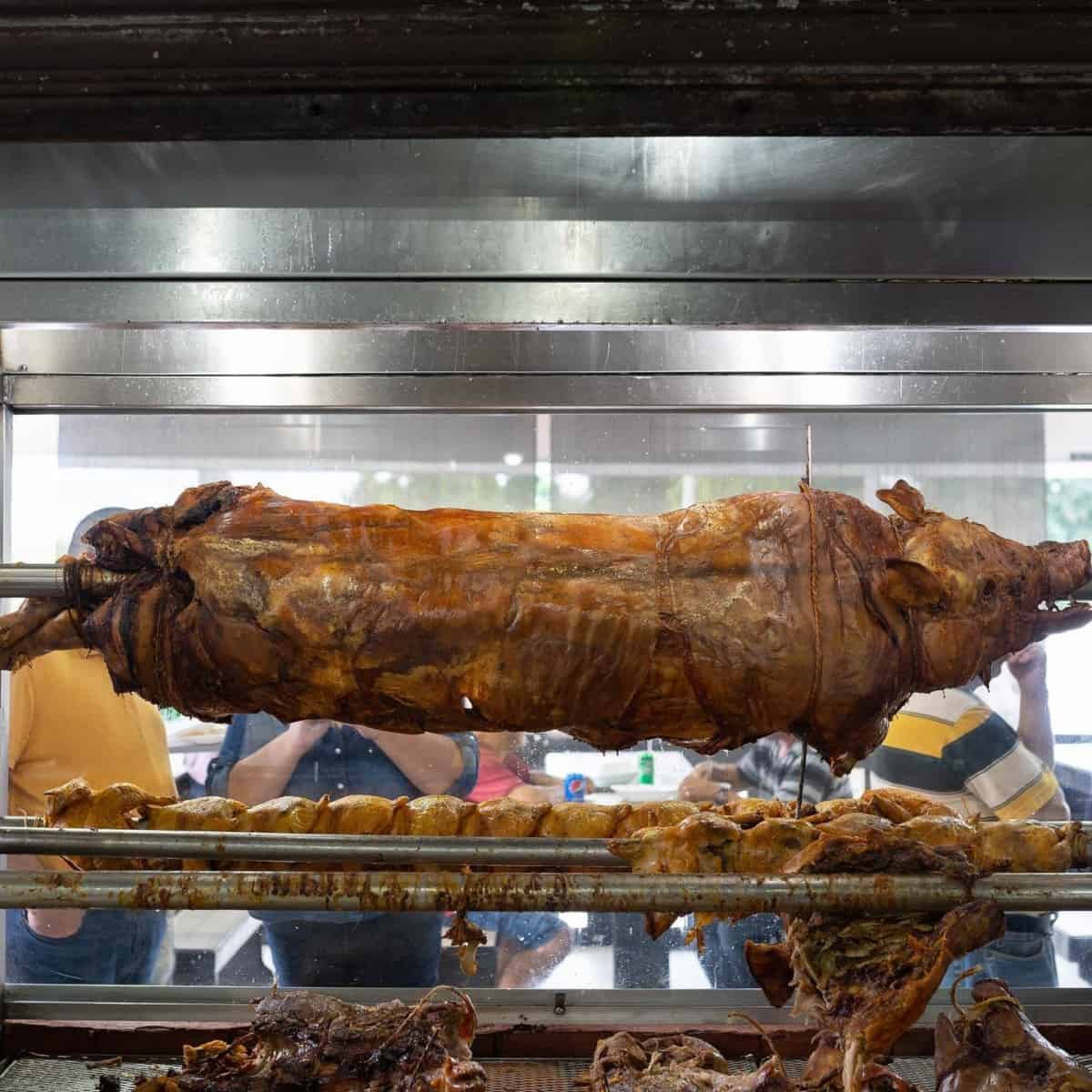 Hay lechón para celebraciones, confirma Coop de Porcicultores